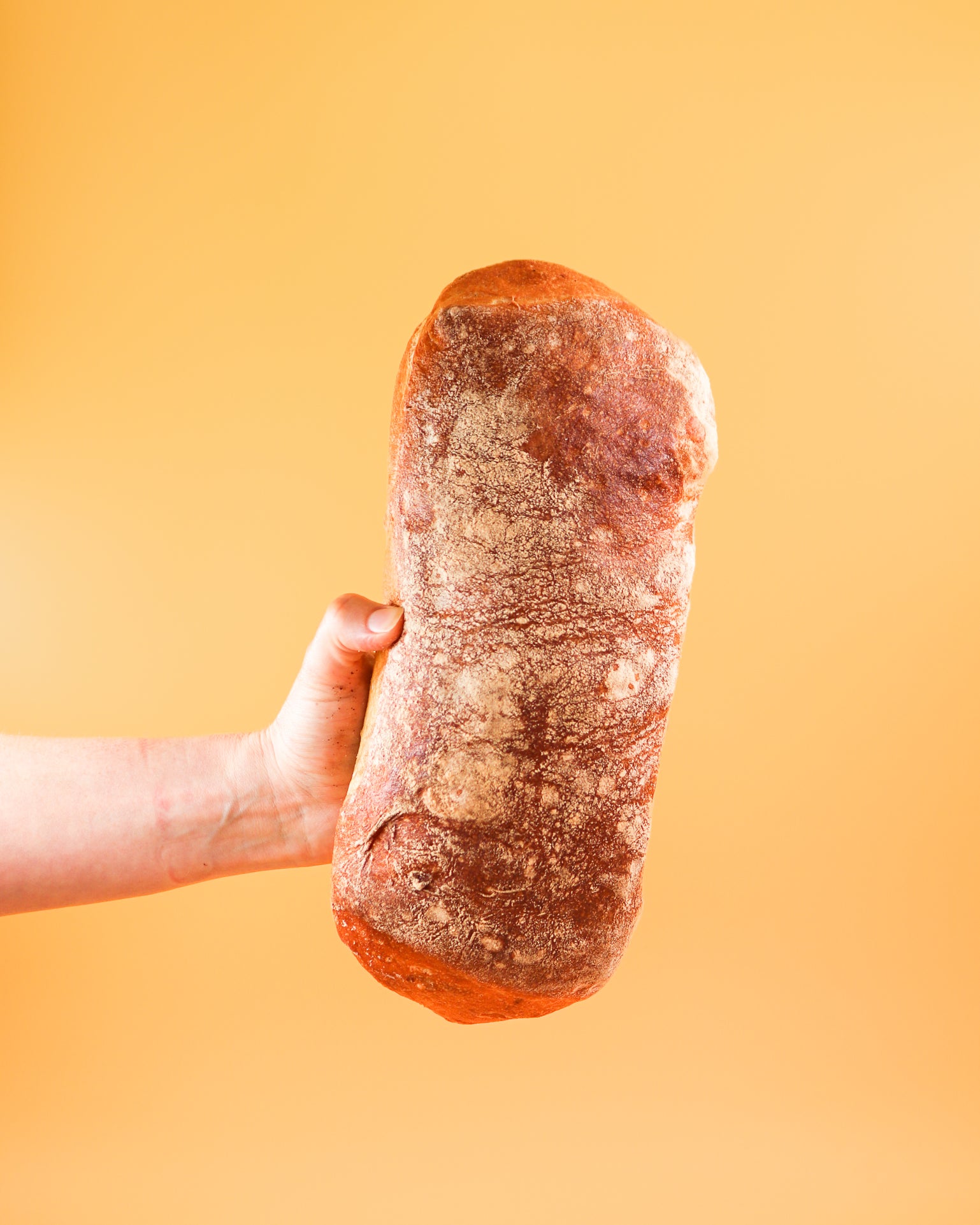 About Us – Piccolo Morso Bakery